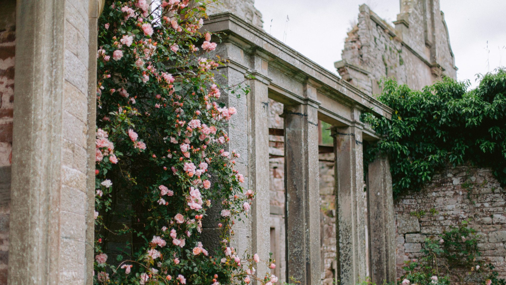 Home » Kirklinton Hall and Gardens